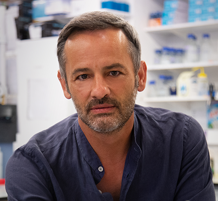 Claus Azzalin, Faculdade de Medicina da Universidade de Lisboa ...